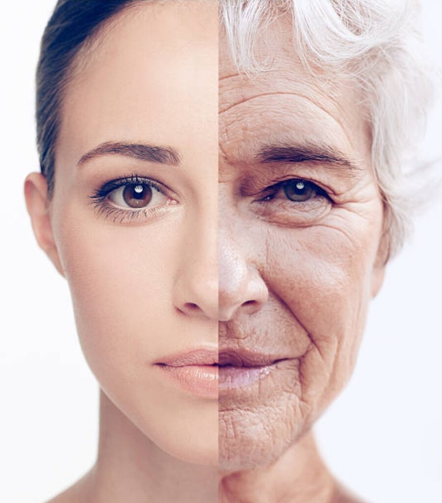 Understanding Aging: How It Affects The Anatomy of Your Face | Your ...