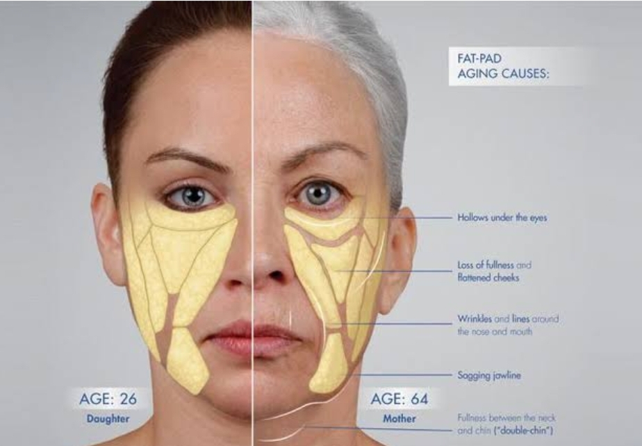 Understanding Aging: How It Affects The Anatomy of Your Face | Your ...